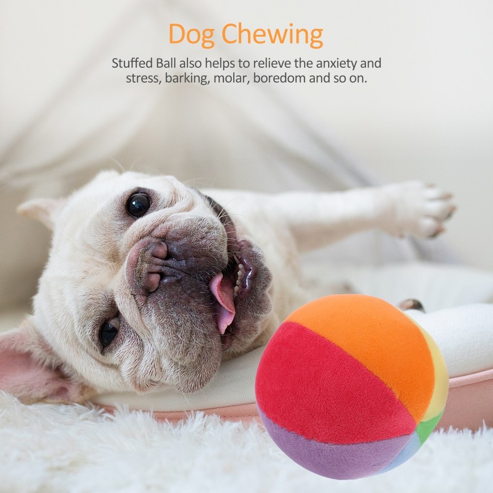 Chewable Plush Dog Toy Squeaky Stuffed Pet Toy for Dog Fun | eBay Australia