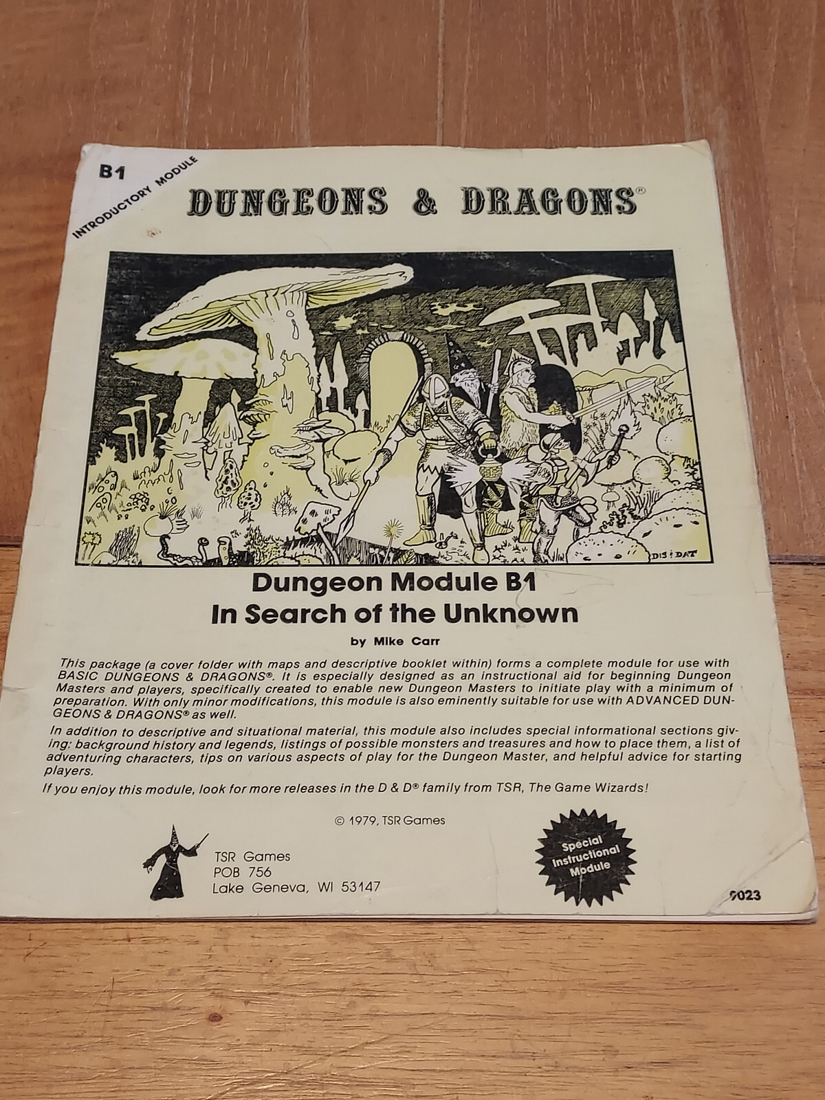 B1 In Search of the Unknown 9023 Advanced D&D Dungeons and Dragons 1st ...