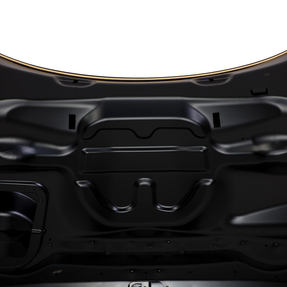 FOR 19-20 DODGE CHALLENGER SRT HELLCAT REDEYE FRONT DUAL SCOOP HOOD ...