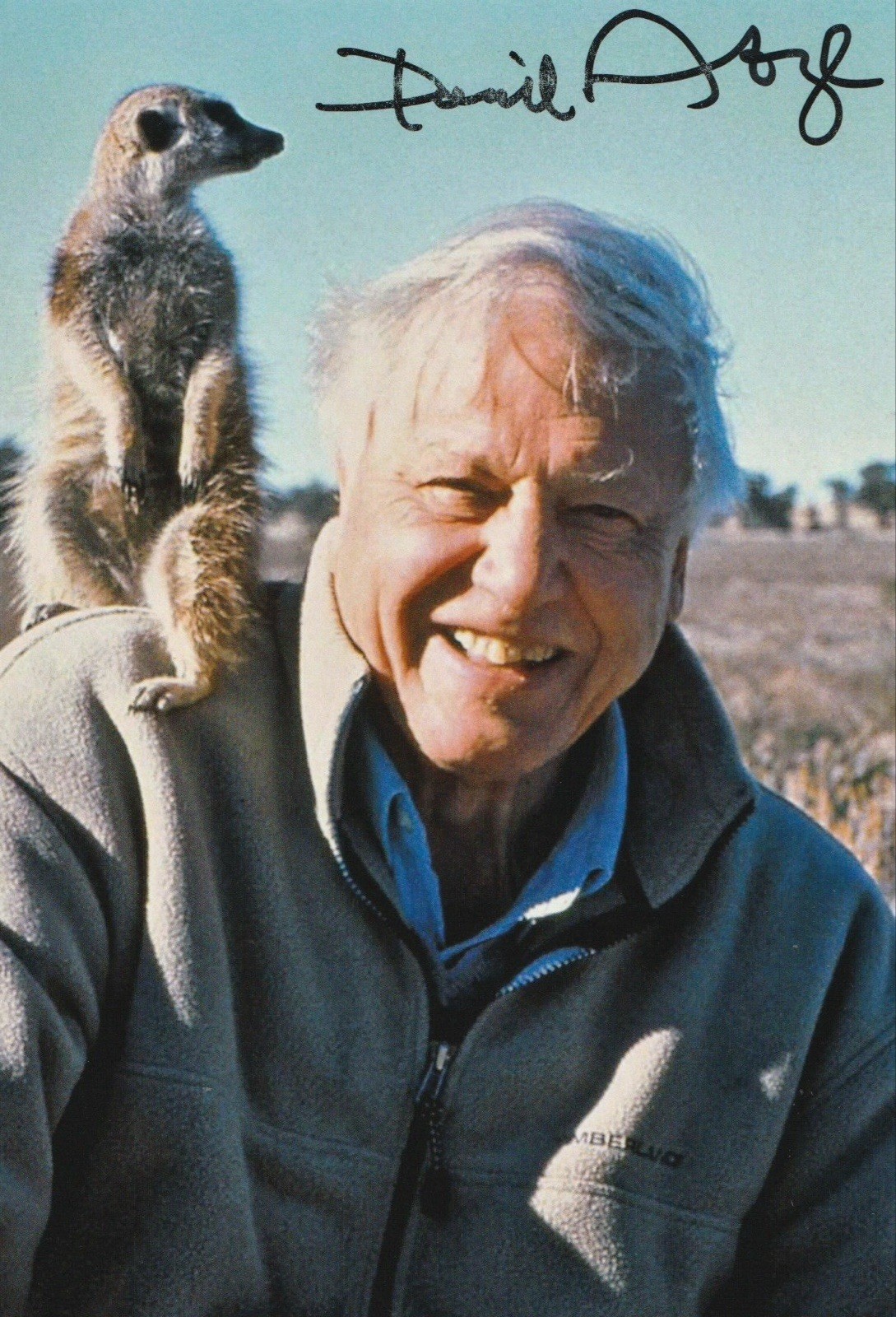 David Attenborough Hand Signed 6x4 Inch Photo | eBay UK