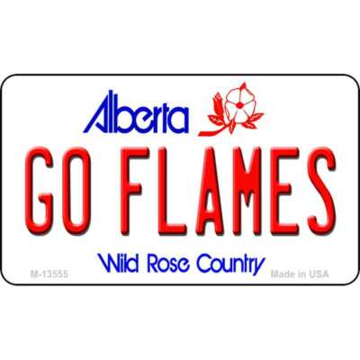 Go Flames Novelty Metal Magnet M-13555 | eBay