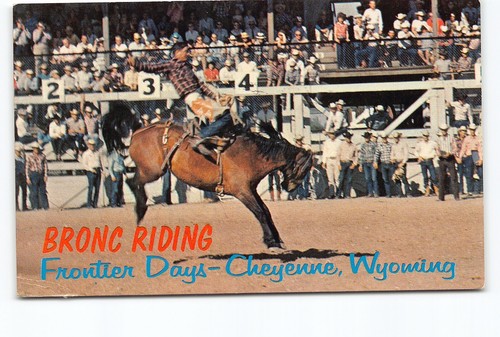 Bronc Riding Cheyenne Wyoming WY Chrome Postcard Vtg Posted 1962 | eBay