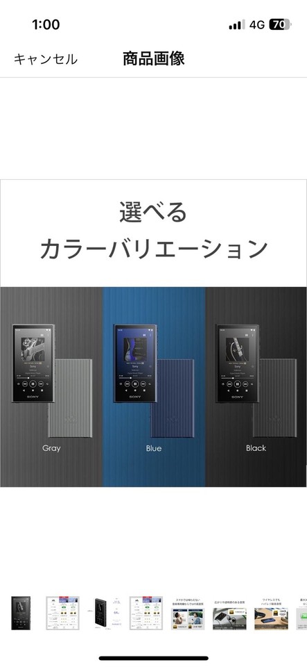 SONY NW-A307BC 64GB BLACK Hi-Res A300 Series Walkman Audio Player | eBay