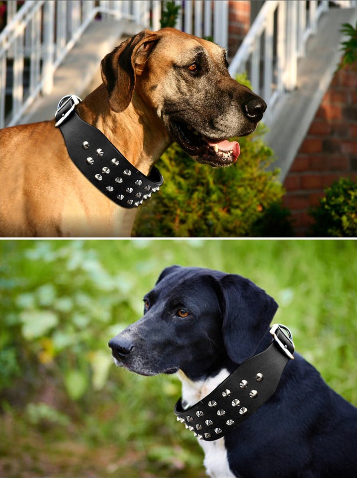 Genuine Leather Dog Collar Spiked Rivets Studded Heavy Duty for Small ...