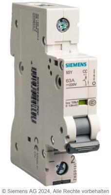 Siemens Leitungsschutzschalter Typ 5SY4132-6 CC / 5SY41326 / 1P 230 ...