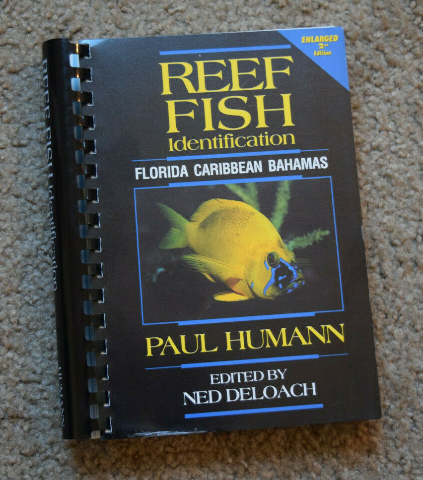 Reef Fish Identification - Florida - Caribbean - Bahamas by Paul Humann ...
