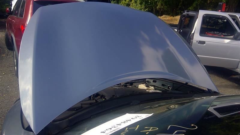 Hood Fits 09-14 MAXIMA 1368965 | eBay