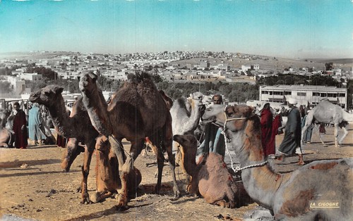 SOUK DAY SCENES AND TYPES | eBay