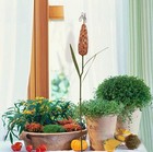 Metal Autumn Harvest Corn Stake Decoration, Decorative Yard Lawn Garden ...