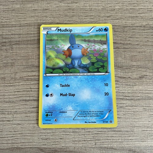 Pokémon TCG Mudkip XY Black Star Promos XY38 Holo Promo for sale online ...