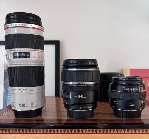 Canon EOS 30D 8.2MP Digital SLR Camera w/3 lens inc. 70-200 L-series ...