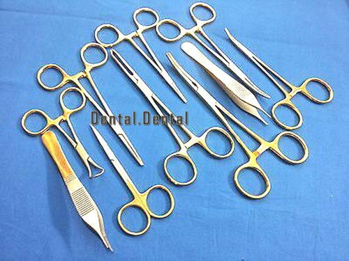CANINE FELINE SPAY PACK SURGICAL INSTRUMENTS KIT GOLD HANDLE 10 PCS ...