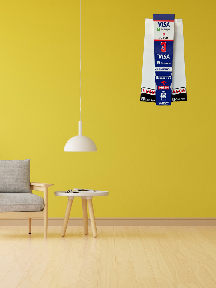 Daniel Ricciardo Replica RB F1 Nose Cone 2024 | eBay UK