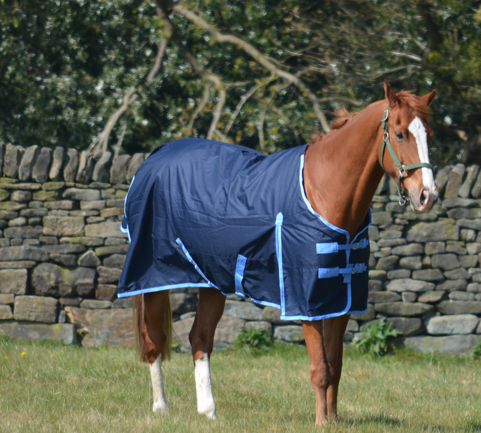 Turner Equestrian Lightweight Waterproof Turnout Rugs 100g Fill 600d ...