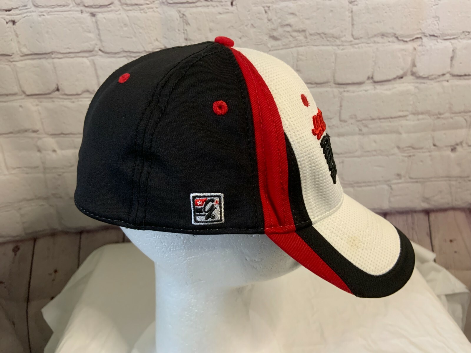 AARP Drive To End Hunger NASCAR Hat Cap | eBay