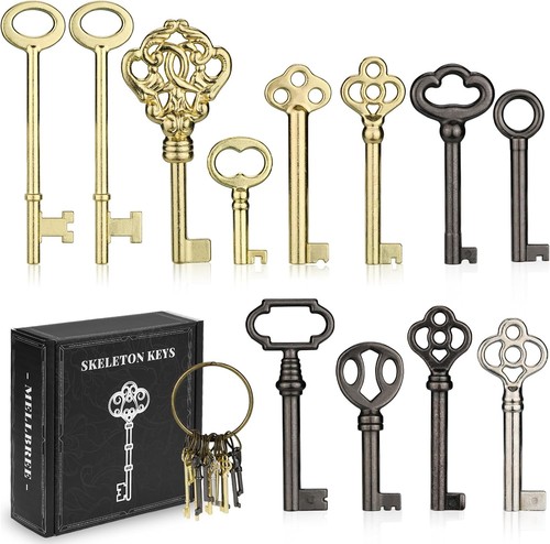 12pcs Skeleton Key Set | Universal Hollow Barrel Keys for Antique ...