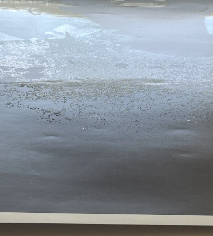 Jacob Bannon Jane Doe 20th Anniversary Signed Giclee Large Print Poster ...