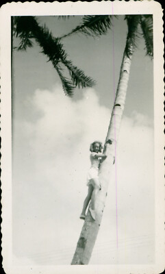 1945 WWII USAAF USO Entertainers Air Force Gal & Tommy up a tree Guam 2 ...