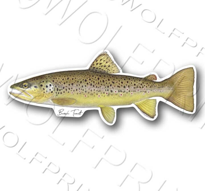 Rainbow Trout Fish Sticker 6" or 11" Wide Walleye Bass Boat Car Window ...