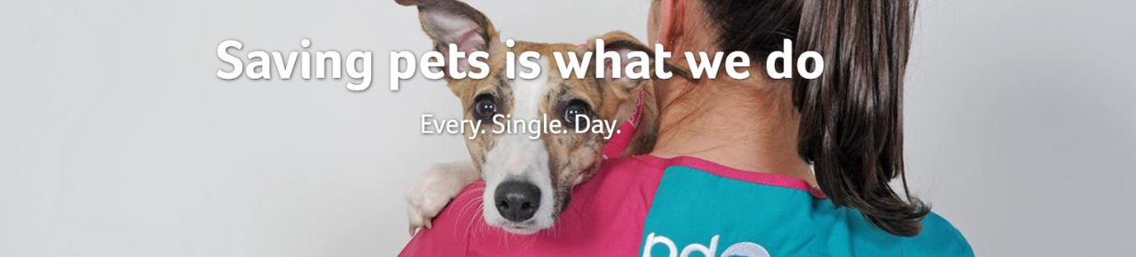 PDSA Charity Shop | eBay Stores