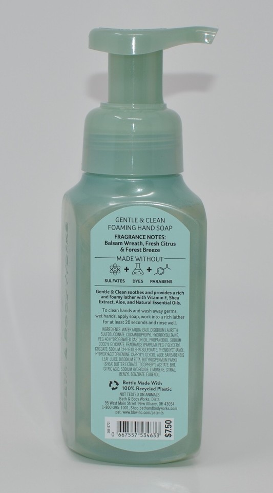 1 NEW BATH & BODY WORKS WINTER CITRUS WREATH GENTLE CLEAN FOAMING HAND ...