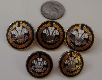 Royal Regiment of Wales Death Rather Than Dishonor 5 enamel Buttons Ich ...