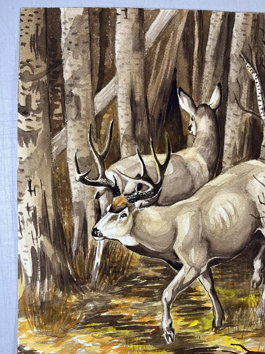 Doe Watercolor