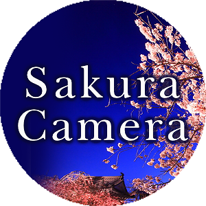 Sakura camera | eBay Stores