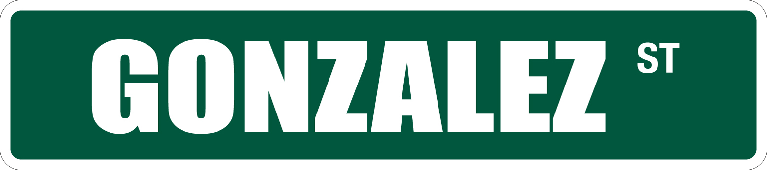 *Aluminum* Gonzalez 4" x 18" Metal Novelty Street Sign SS 1573 | eBay