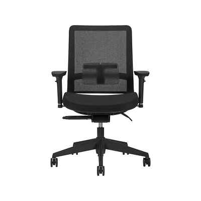 Global Factor Model #5541 Mid-Back Ergo Mesh Back Fabric Seat Task ...