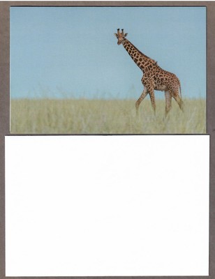 IFAW Giraffe Note Card with Envelope - I Combine S/H | eBay