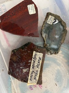 Bulldog Rocks | eBay Stores