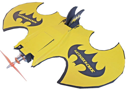 FOAM BAT WING PLANE RC Model Airplane Complete Kit & Covering 21 ...