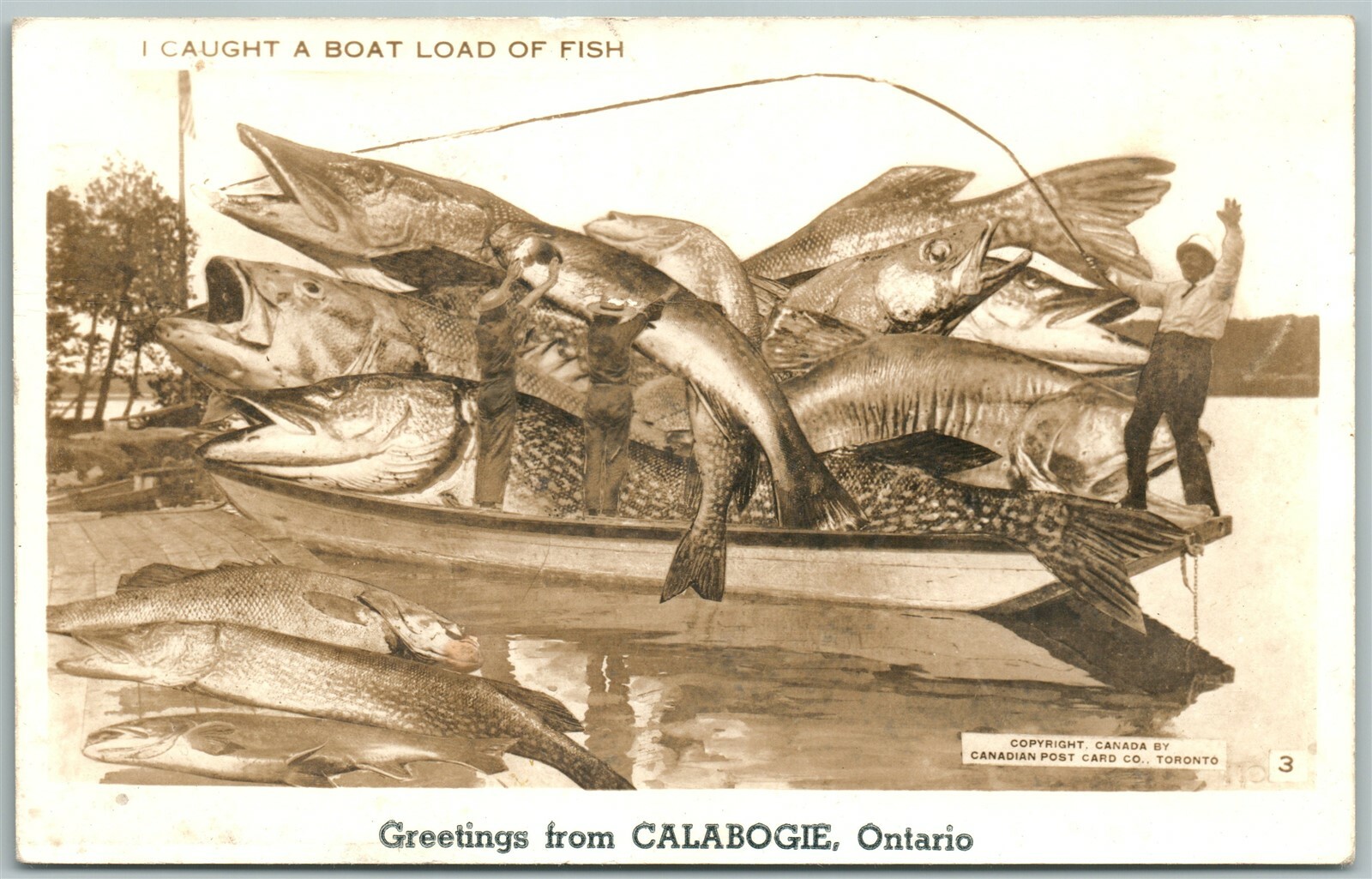 CALABOGIE ONT. CANADA FISHING EXAGGERATED VINTAGE REAL PHOTO POSTCARD ...