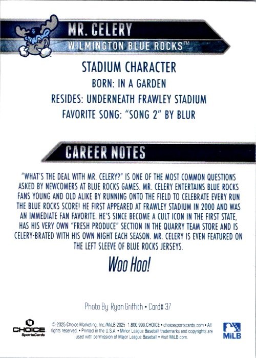 Mr. Celery 2025 Choice Wilmington Blue Rocks #37 Wilmington Blue Rocks ...