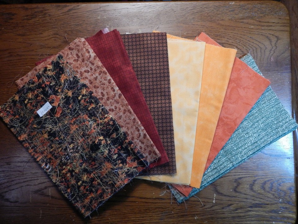 Northern Journey (Bison) Quilt Kit by Adrienna Yorinks - ~11 yards ...