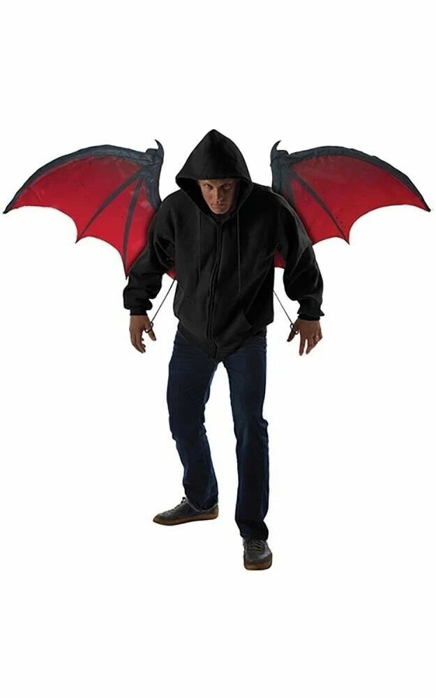 About Vampires With Wings