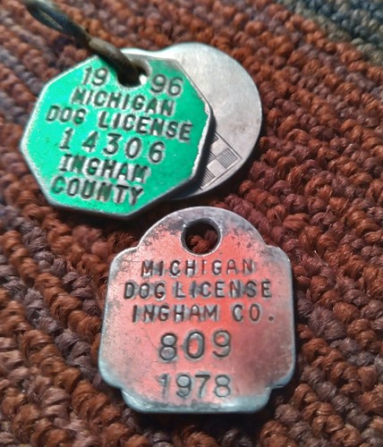 2 Dog Pet Tags & Owners Michigan | eBay