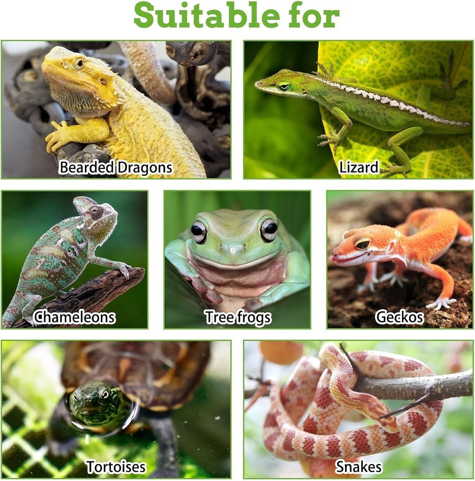 Reptile Tank Accessories 3 pcs Hammock Vines Leaves Jungle Climber ...
