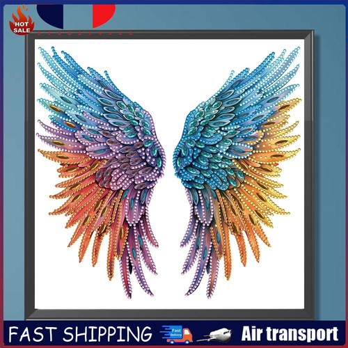 DIY Partial Special Shaped Drill Diamond Painting Colorful Feather ...