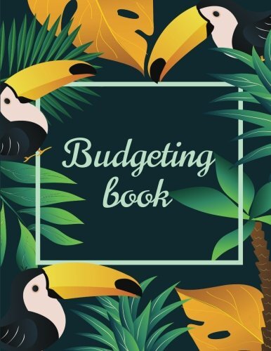 BUDGETING BOOKS: LARGE PRINT (8.5"X11") - 365 DAYS (12 By Ms.budgetbook ...