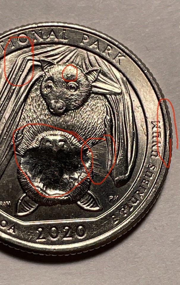 2020 P American Samoa Washington Quarter -Blind Bat Error - Rare ...