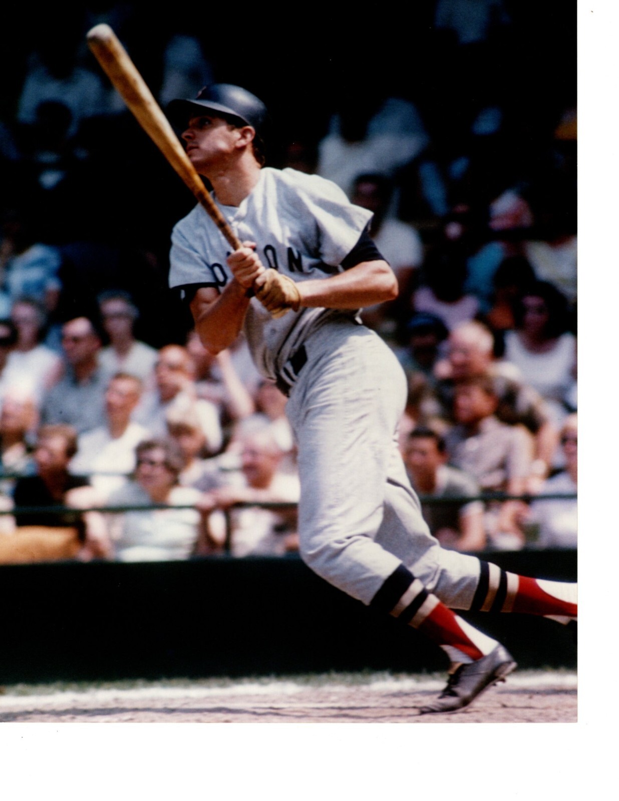 TONY CONIGLIARO BOSTON RED SOX 8X10 PHOTO BASEBALL | eBay