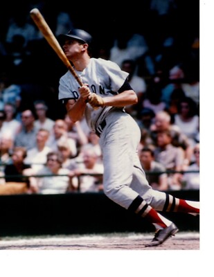 TONY CONIGLIARO BOSTON RED SOX 8X10 PHOTO BASEBALL | eBay