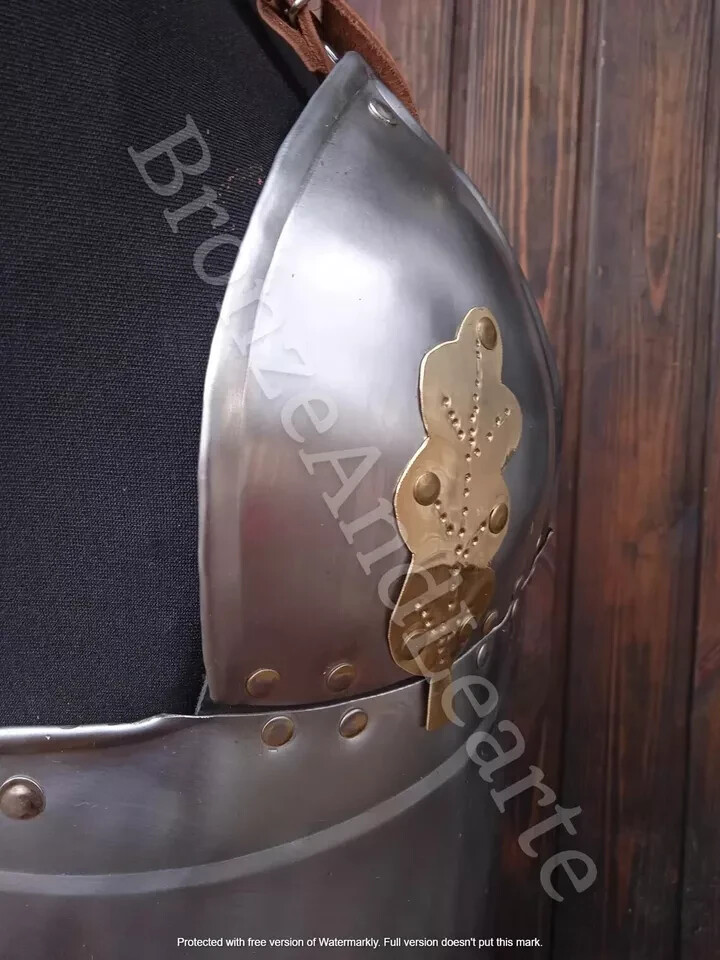Medieval Female armor Easy To Wear Sexy Dress Best Gift For Your Loved ...