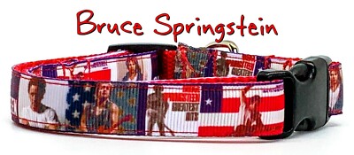 Bruce Springsteen dog collar handmade adjustable buckle collar 5/8"wide ...