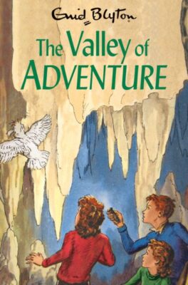 The Valley of Adventure by Enid Blyton 9781529008845 NEW Paperbac ...