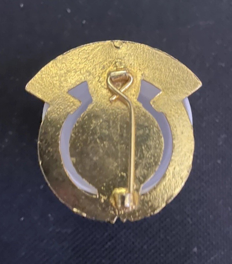 Liverpool Crown Paints Fan Club official badge 1984 roma champions of ...