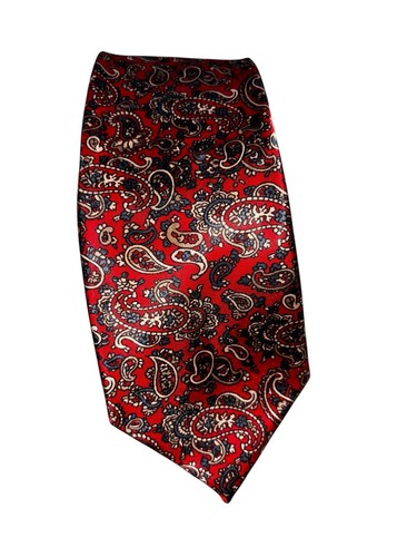 Allyn St. George Red Blue Paisley Tie Mens Designer Neck Tie | eBay