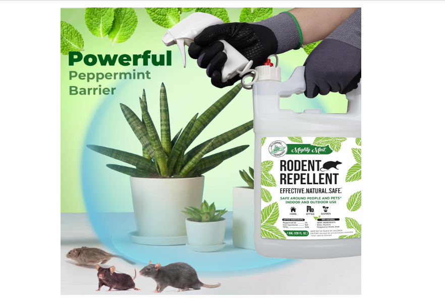 Mighty Mint 1 Gallon Mice Rat Rodent Repellent Spray, All Natural ...